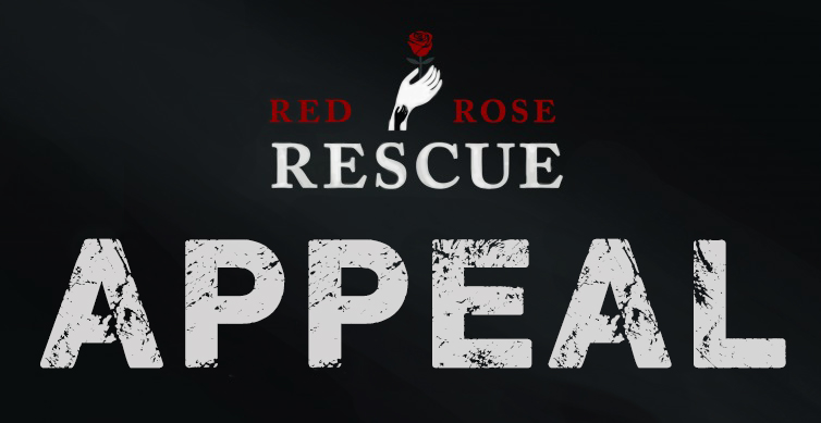 Brief Filed in Michigan Court of Appeals in Flint Red Rose Rescue Case ...